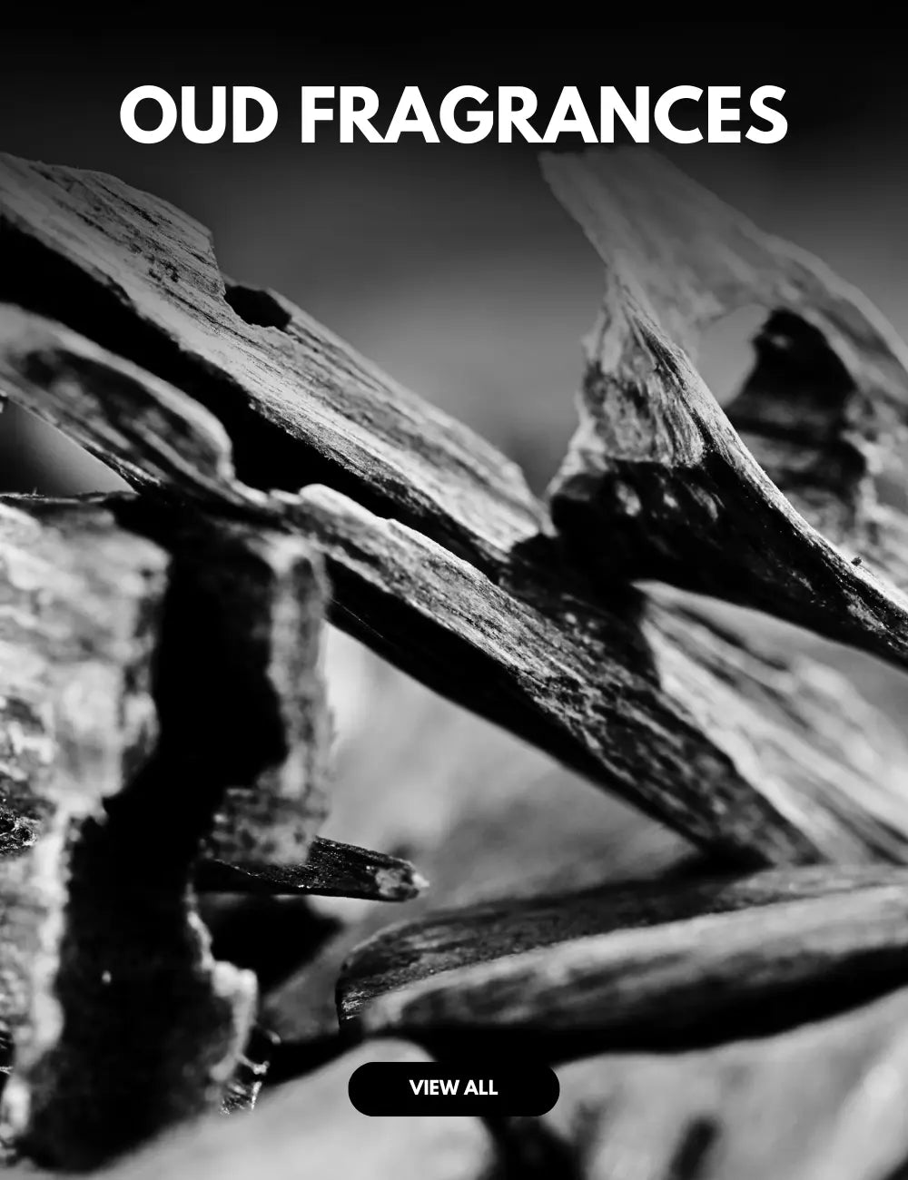 OUD FRAGRANCES – Perfumes' Origin